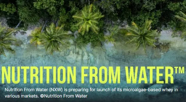 News | ANZSA | Aotearoa New Zealand Seaweed Association