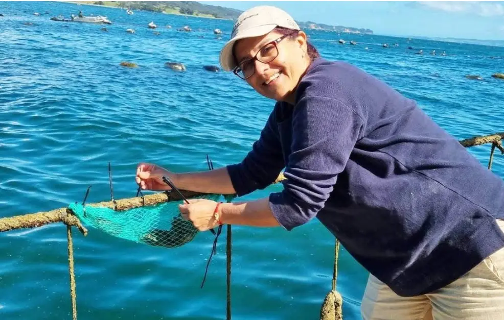 News | ANZSA | Aotearoa New Zealand Seaweed Association